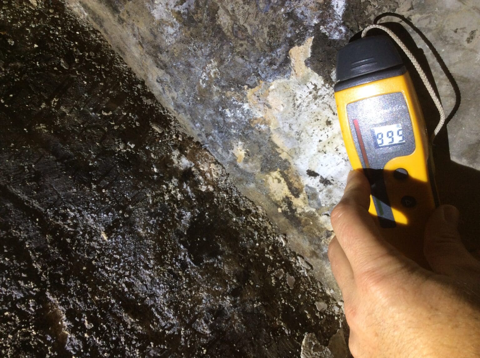 Case Study: Water Ingress Defect - Home Integrity